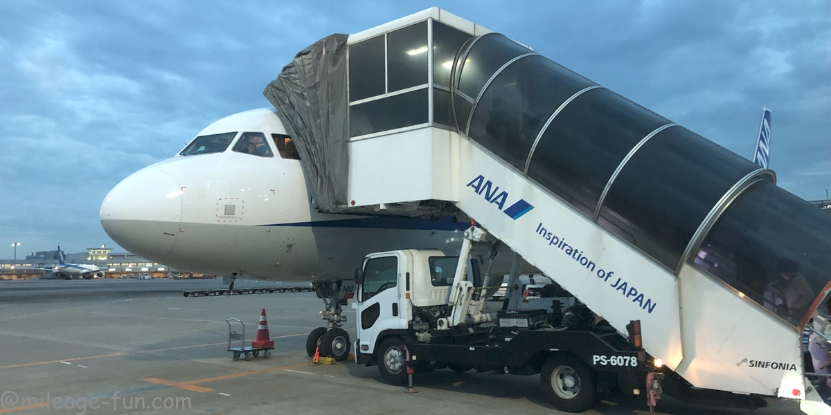 UAマイルで九州往復。日帰り修行で30万ライフタイムマイル到達！【2024年11月】 | いつかは夢のミリオン☆マイラー!?